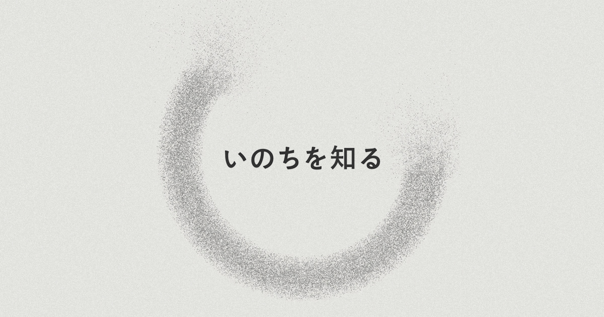 Discover the DYNAMIC EQUILIBRIUM OF LIFE Pavilion